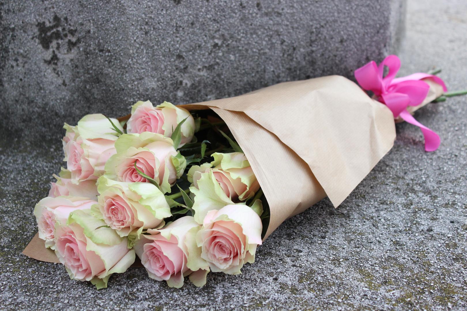 Ruža – Cvjećarstvo Tanja