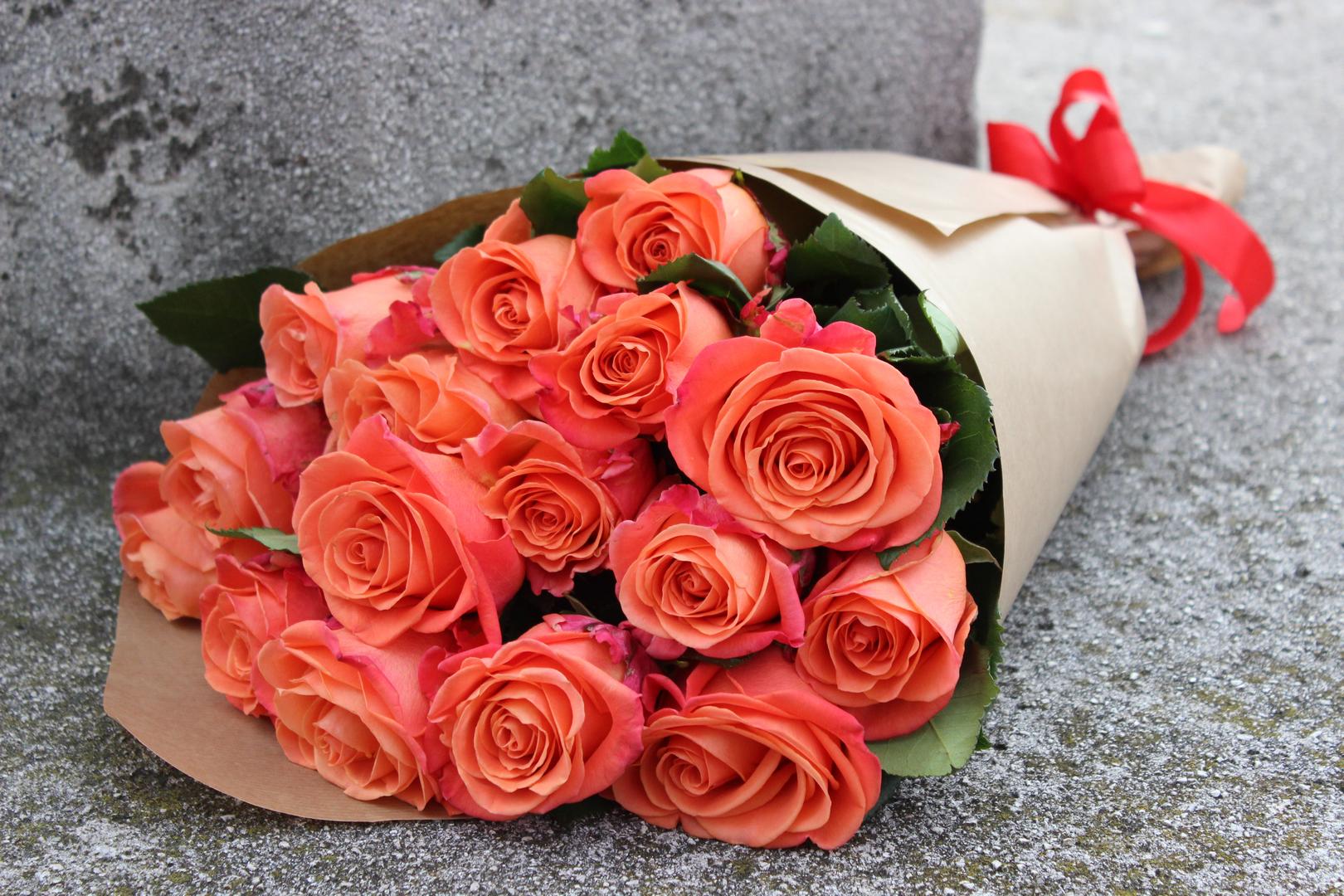 Ruža – Cvjećarstvo Tanja